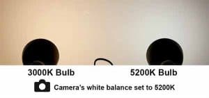 The Best Color Temperature for Video Lighting – This may surprise you ...