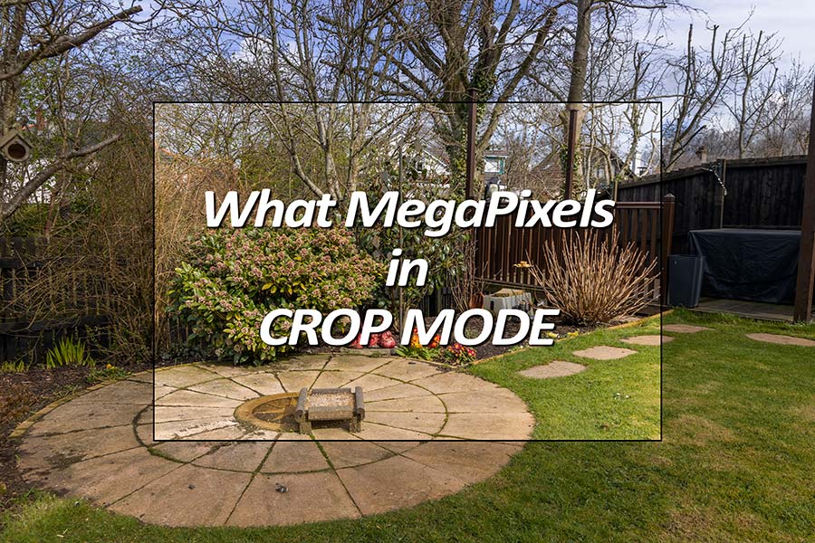 How Many Megapixels When I Change Full Frame to Crop Mode – DIY Video ...